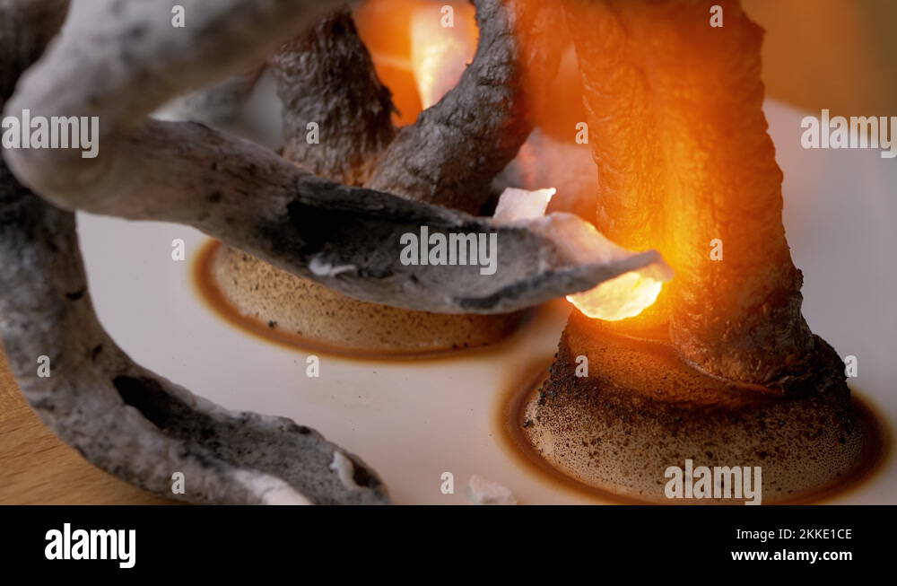 Pharaoh Snakes, Chemical Experiment with Calcium Gluconate Tablets, Dry ...