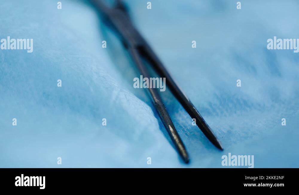 Surgical dissection Stock Videos & Footage - HD and 4K Video Clips - Alamy