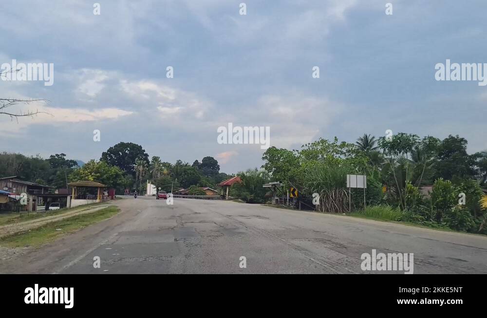 Palm Trees And Greenery Alongside Busy Narrow Road - Dolly Forward ...