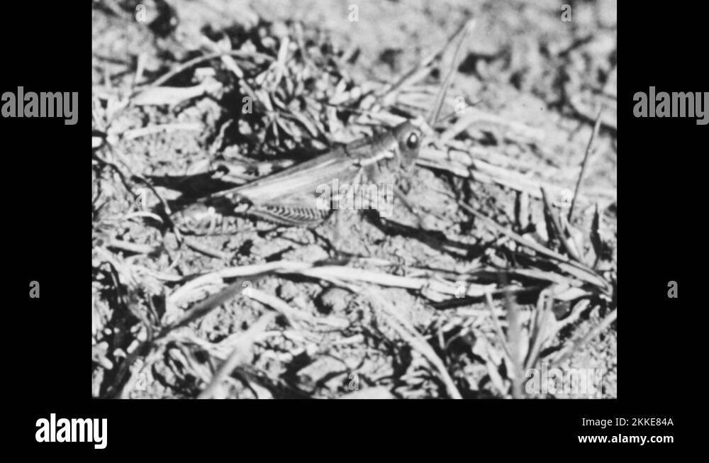 Folded back legs Stock Videos & Footage - HD and 4K Video Clips - Alamy