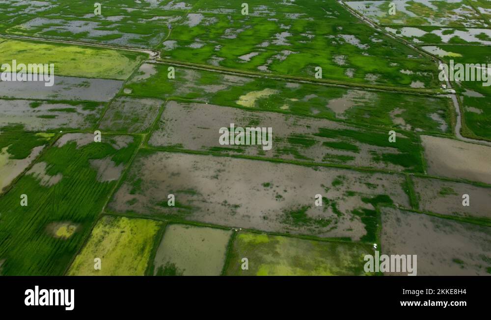 Field flood Stock Videos & Footage - HD and 4K Video Clips - Alamy
