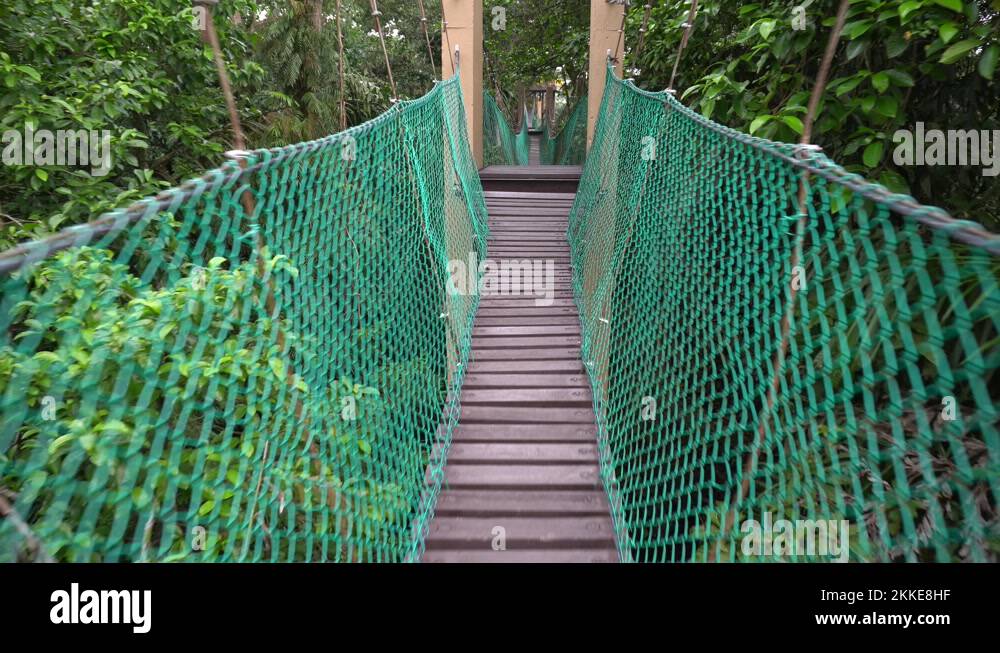 Canopy tree walk bridge Stock Videos & Footage - HD and 4K Video Clips ...
