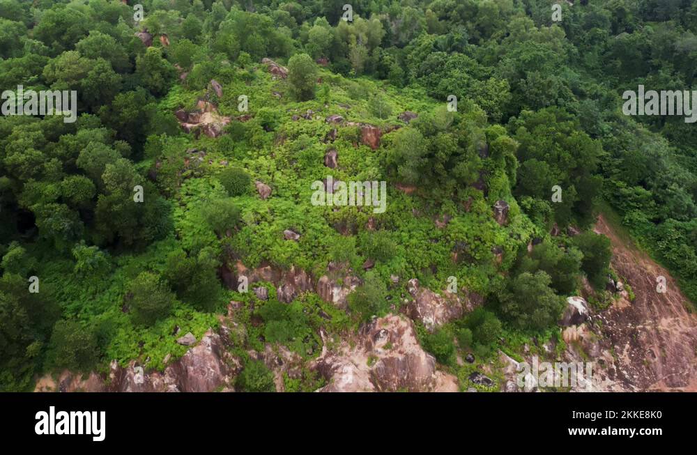 Deforest Stock Videos & Footage - HD and 4K Video Clips - Alamy