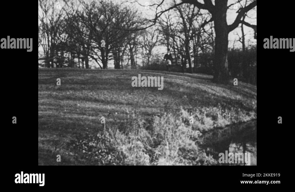 Character description Stock Videos & Footage - HD and 4K Video Clips ...