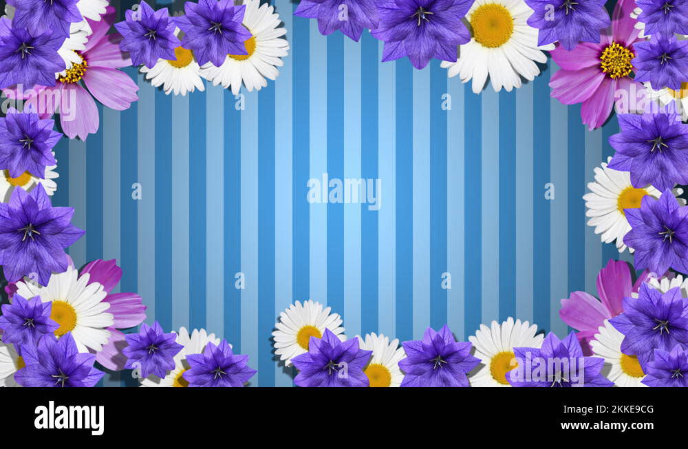 Wedding invitation card template Stock Videos & Footage - HD and 4K ...