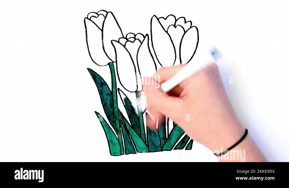 Hand colouring Stock Videos & Footage - HD and 4K Video Clips - Alamy