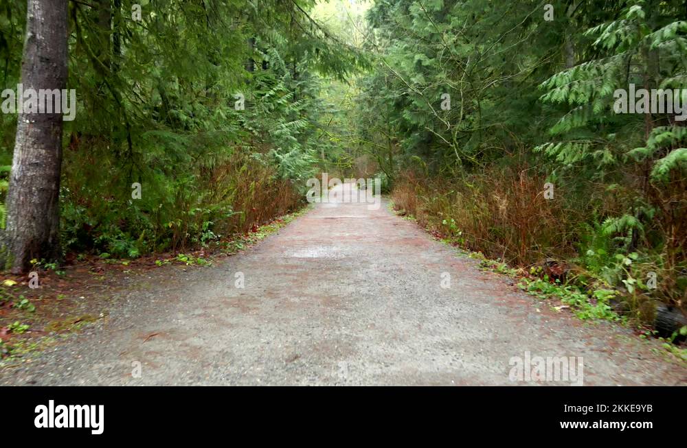 Straight pathway Stock Videos & Footage - HD and 4K Video Clips - Alamy
