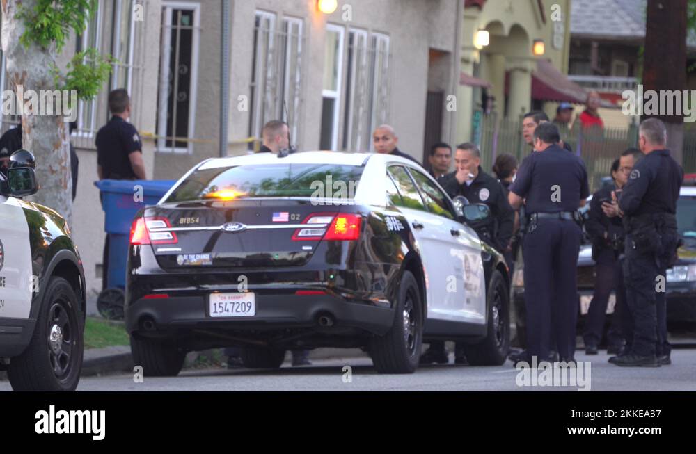 Crime scene securing Stock Videos & Footage - HD and 4K Video Clips - Alamy