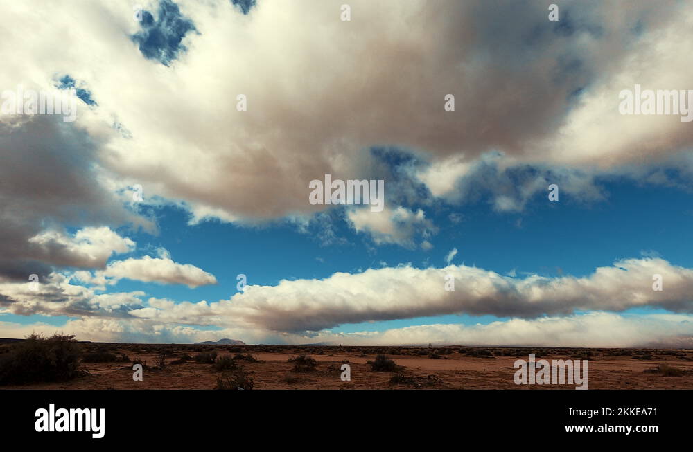 Thirst desert Stock Videos & Footage - HD and 4K Video Clips - Alamy
