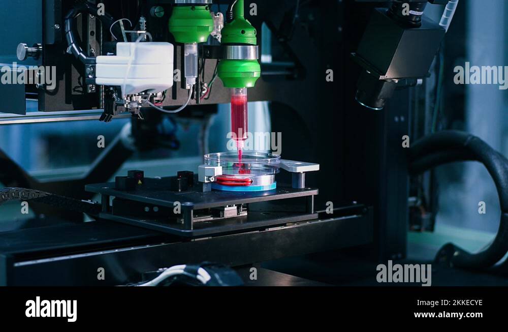 Bioprinting of tissues and organs Stock Videos & Footage - HD and 4K ...
