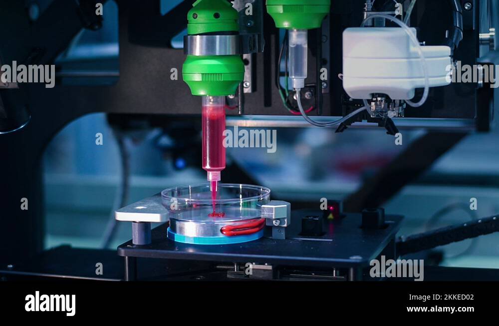 Process of 3d printing for medicine. bioprinting of human tissues and ...