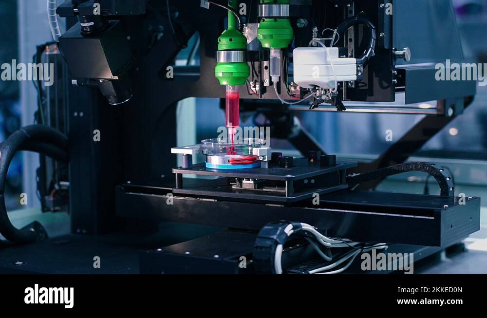 Process of 3d printing for medicine. bioprinting of human tissues and ...