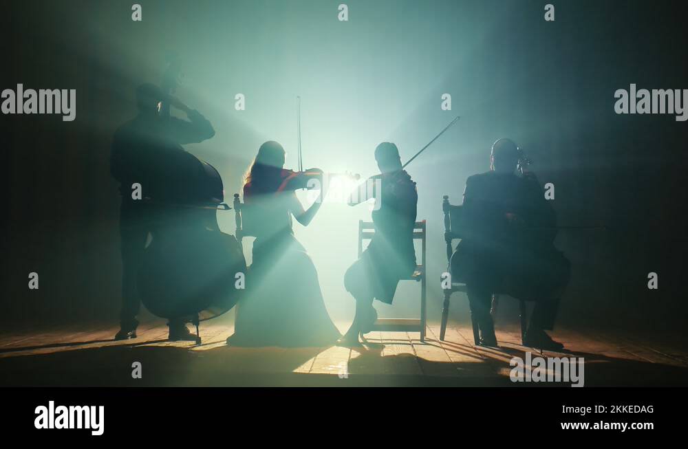 Big cello Stock Videos & Footage - HD and 4K Video Clips - Alamy