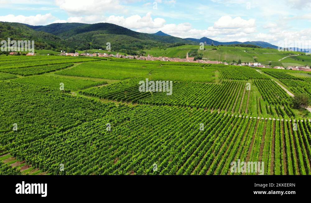 Alsace wine region Stock Videos & Footage - HD and 4K Video Clips - Alamy