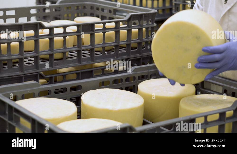 Dairy cheeses Stock Videos & Footage - HD and 4K Video Clips - Alamy