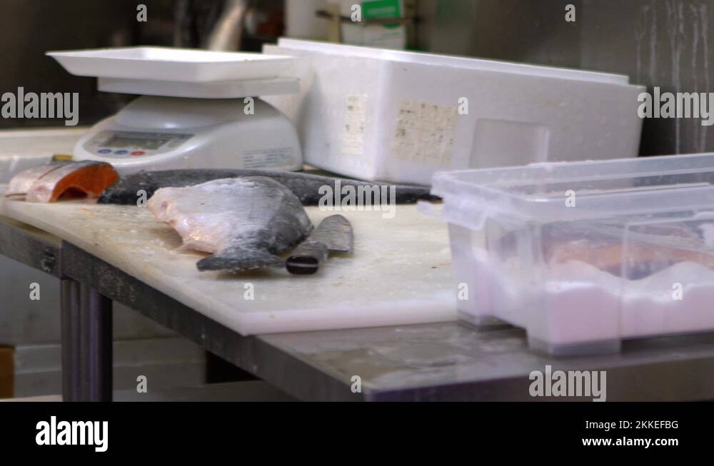 Dan the fish man Stock Videos & Footage - HD and 4K Video Clips - Alamy