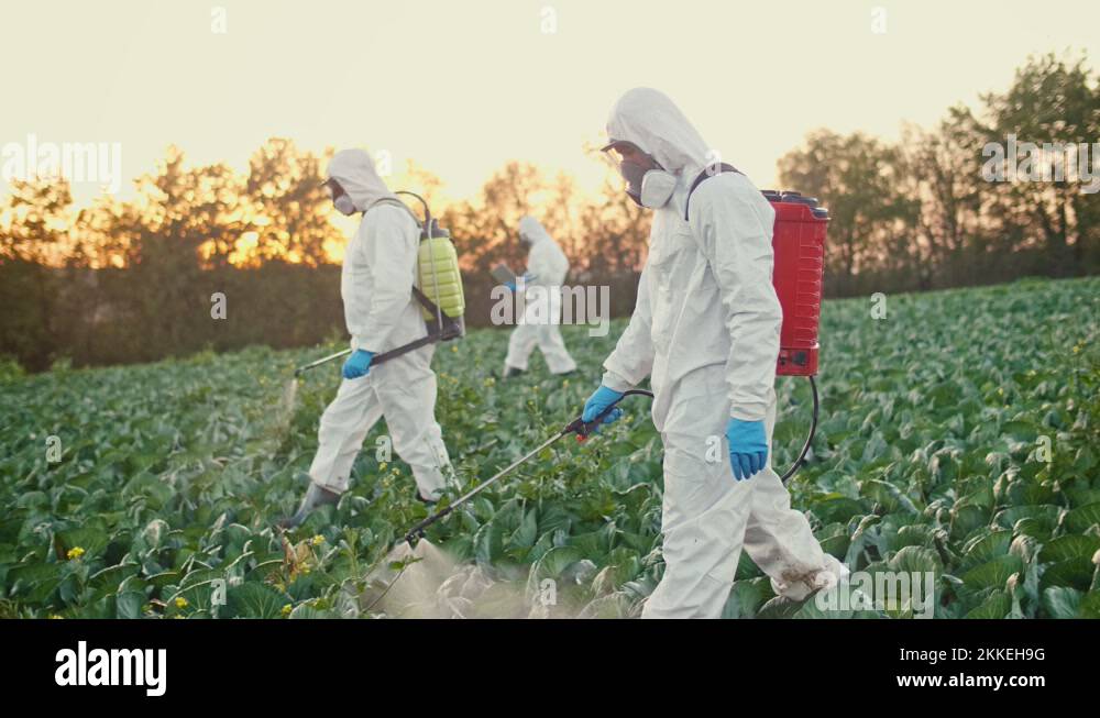 Toxic pesticides Stock Videos & Footage - HD and 4K Video Clips - Alamy
