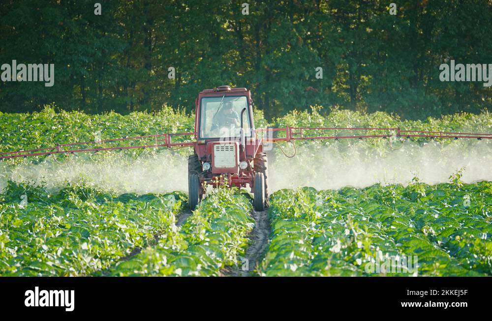 Tractor Spraying of Pesticides and Insecticides on an Agricultural ...