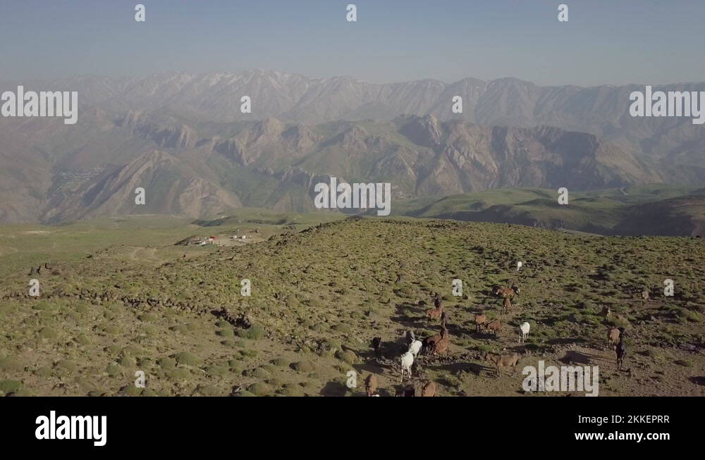 Damavand iran Stock Videos & Footage - HD and 4K Video Clips - Alamy