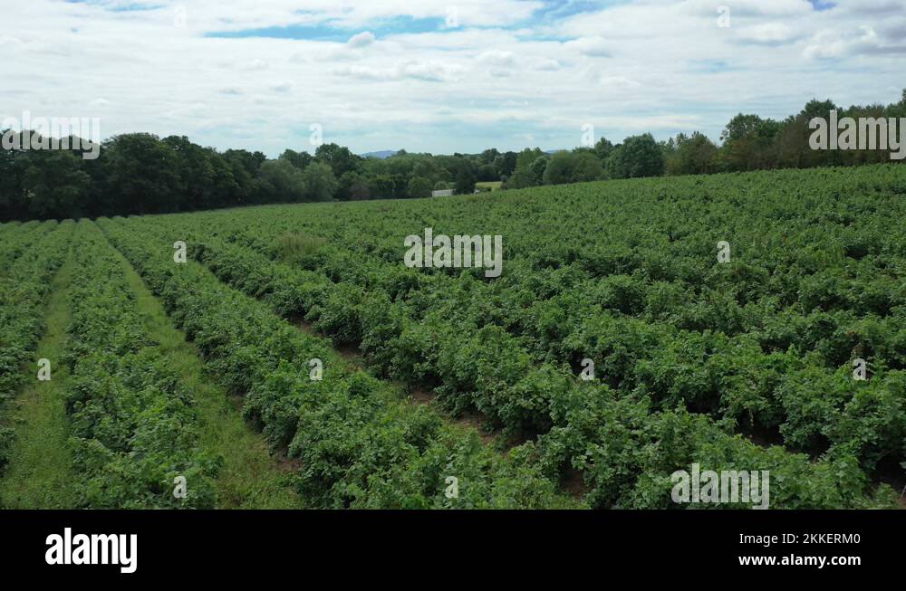 Farm corner Stock Videos & Footage - HD and 4K Video Clips - Alamy