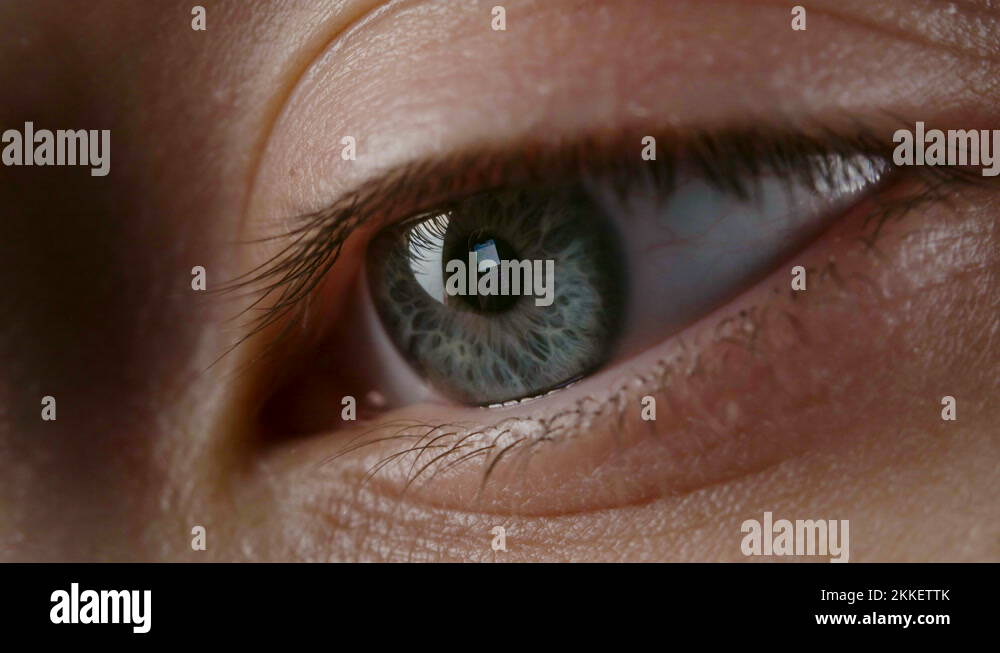 Eye reflection screen Stock Videos & Footage - HD and 4K Video Clips ...