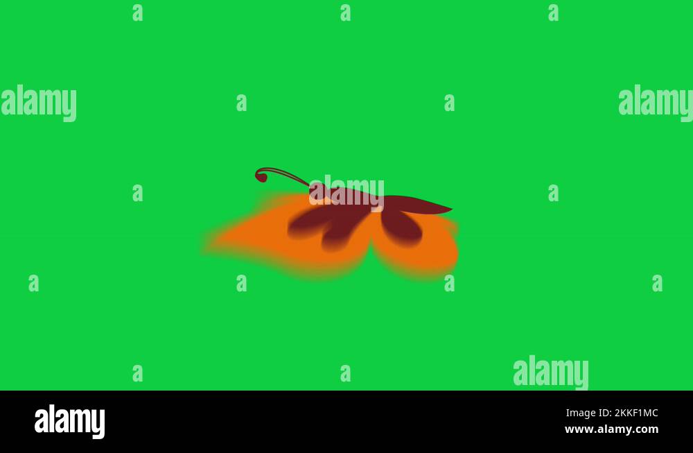 Flapping movement of wings Stock Videos & Footage - HD and 4K Video ...