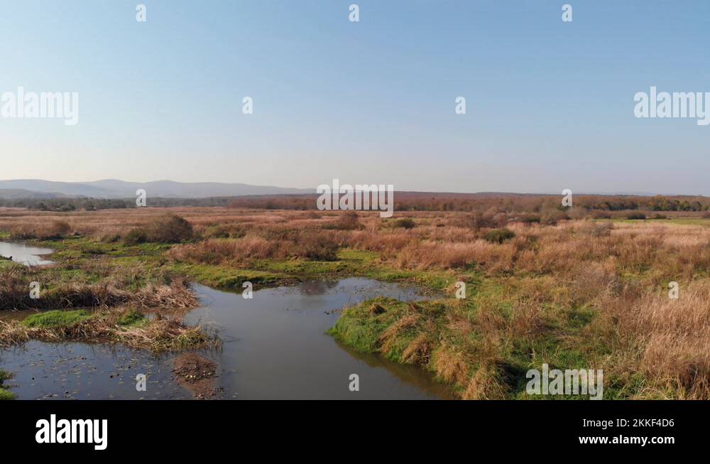 Marsland Stock Videos & Footage - HD and 4K Video Clips - Alamy