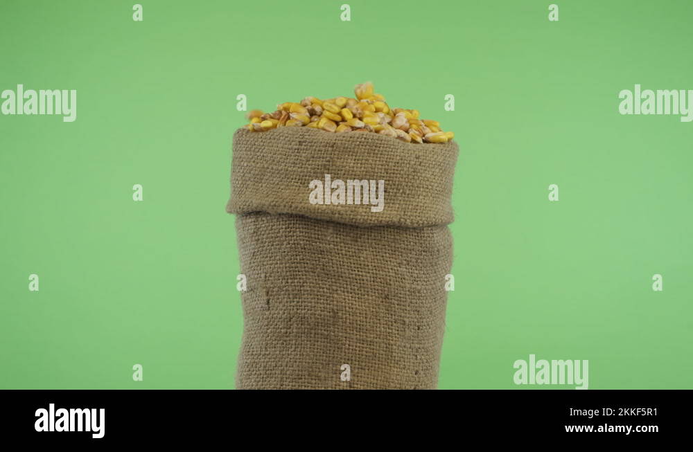 Sack of corn Stock Videos & Footage - HD and 4K Video Clips - Alamy