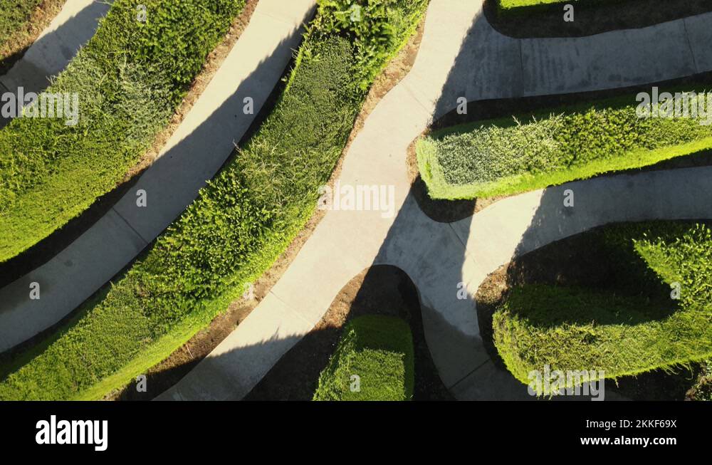 On top of a hedge Stock Videos & Footage - HD and 4K Video Clips - Alamy