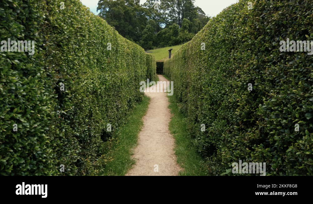 Walking inside maze Stock Videos & Footage - HD and 4K Video Clips - Alamy