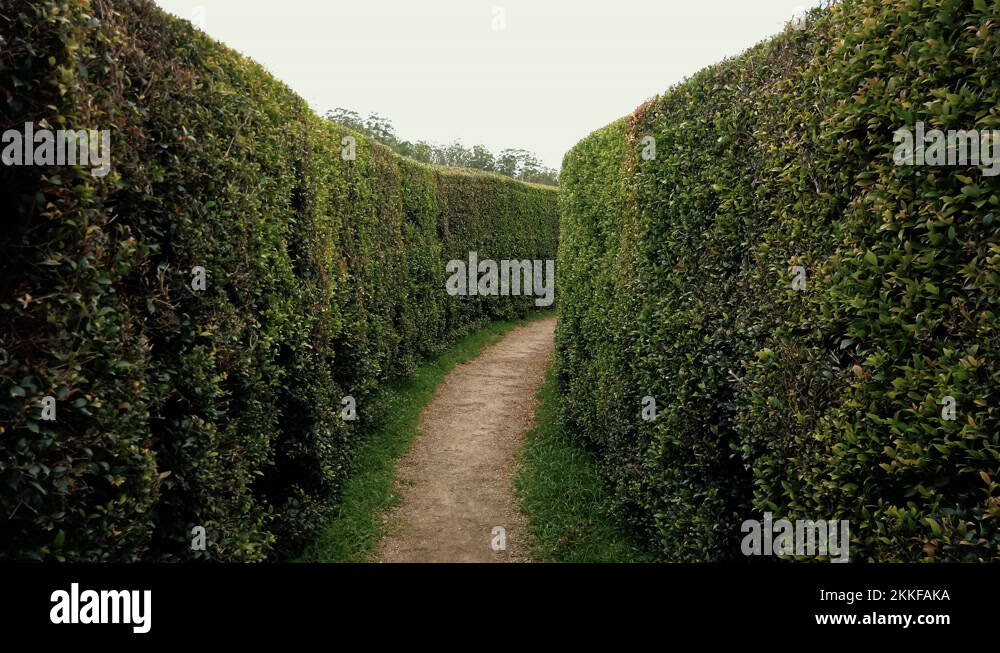 Narrow trail through green Stock Videos & Footage - HD and 4K Video ...
