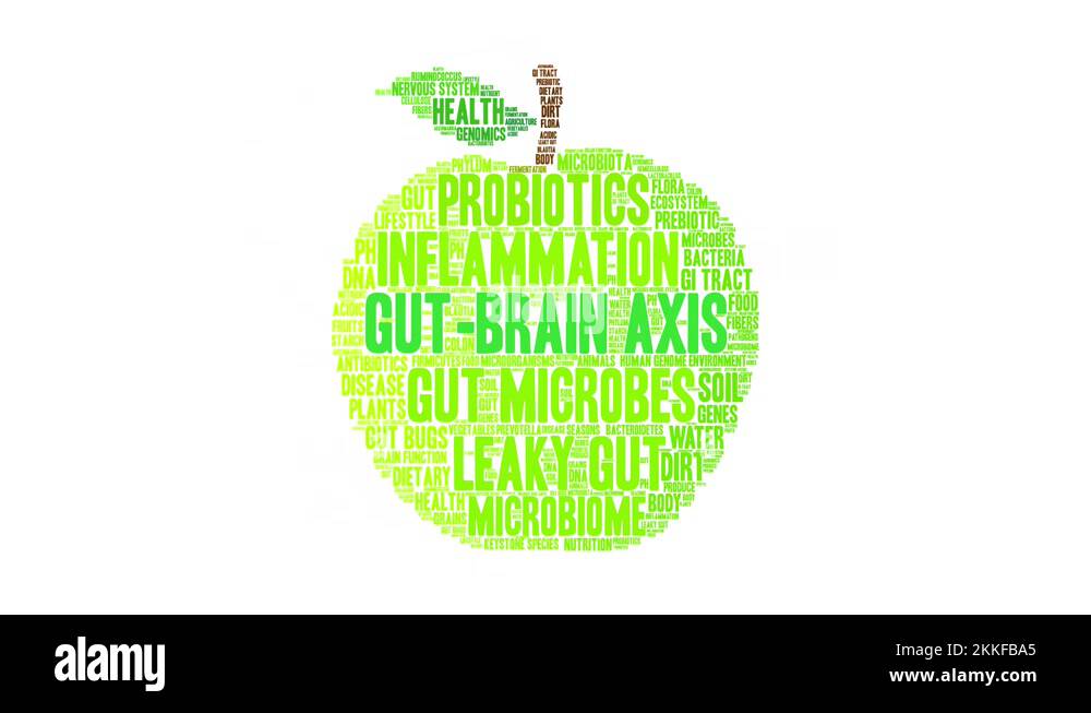 Microbiota gut brain axis Stock Videos & Footage - HD and 4K Video ... Microbiota gut brain axis Stock Videos & Footage - HD and 4K Video ...