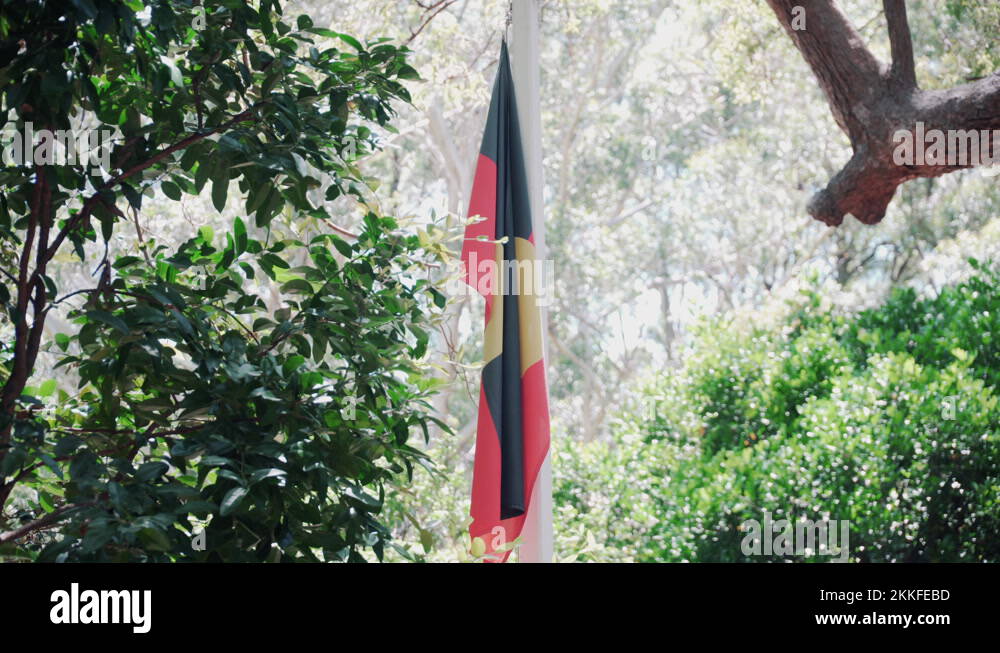 Aboriginal Flag Hanging Down From Tree Branch - Port Macquarie, NSW ...