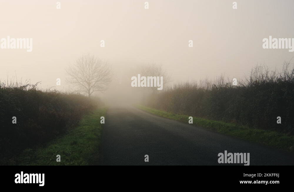 Rural narrow countryside road in thick fog and mist, dangerous bad ...