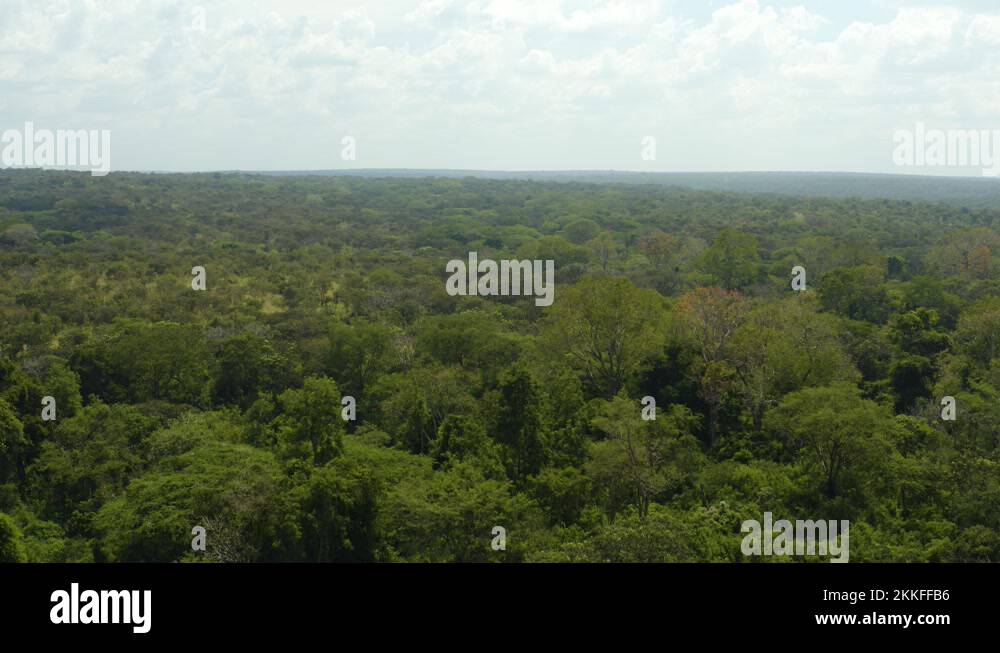 African ecosystem Stock Videos & Footage - HD and 4K Video Clips - Alamy