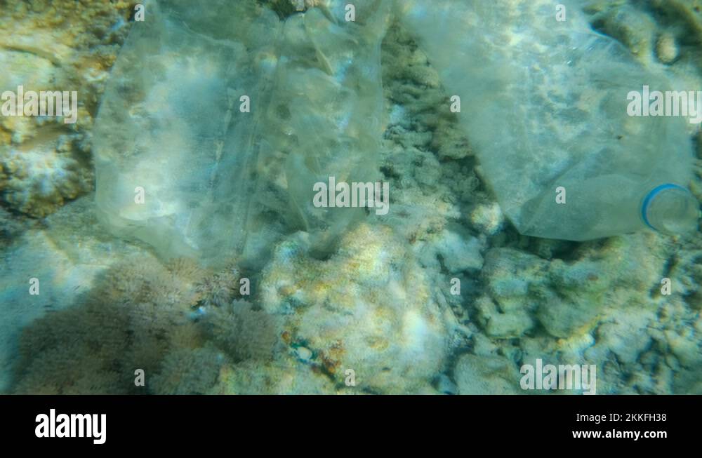 A lot of plastic garbage and other trash on corals sea bottom. Plastic ...