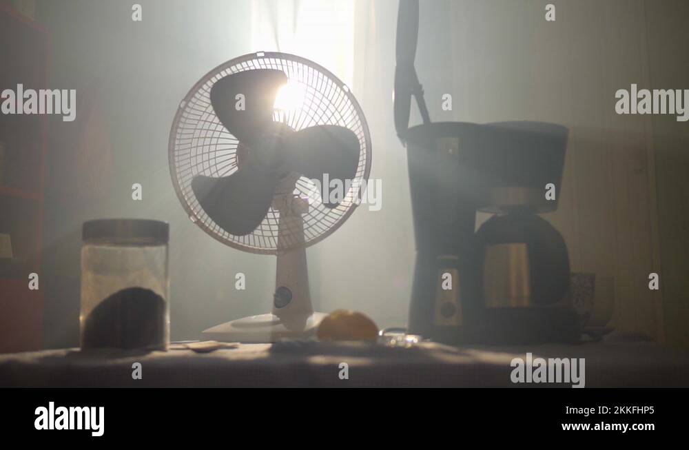 Coffee fan Stock Videos & Footage - HD and 4K Video Clips - Alamy
