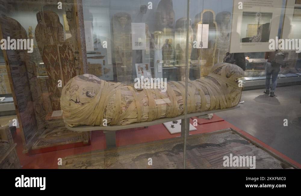 Museum of mummies Stock Videos & Footage - HD and 4K Video Clips - Alamy