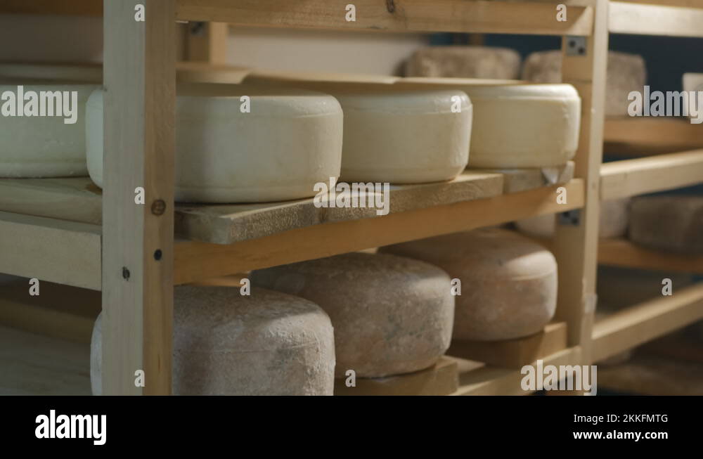 many varieties of hard cheese on the shelves in the maturation chamber ...