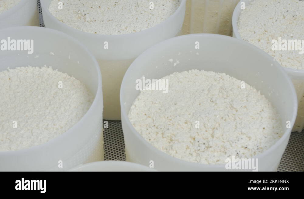 many colanders with cheese while pressing and filtering from whey on a ...