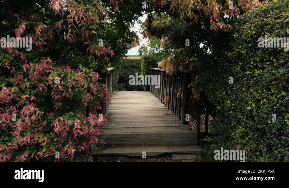 Wooden Bridge Towards Labyrinth, Hedge Maze In Wauchope, NSW, Australia ...