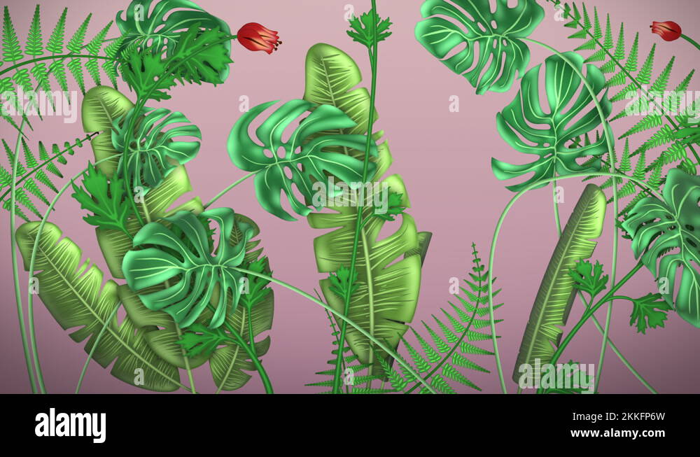 Tropical plants, loop-able from 20:00 to end. Monstera, palm leaves ...