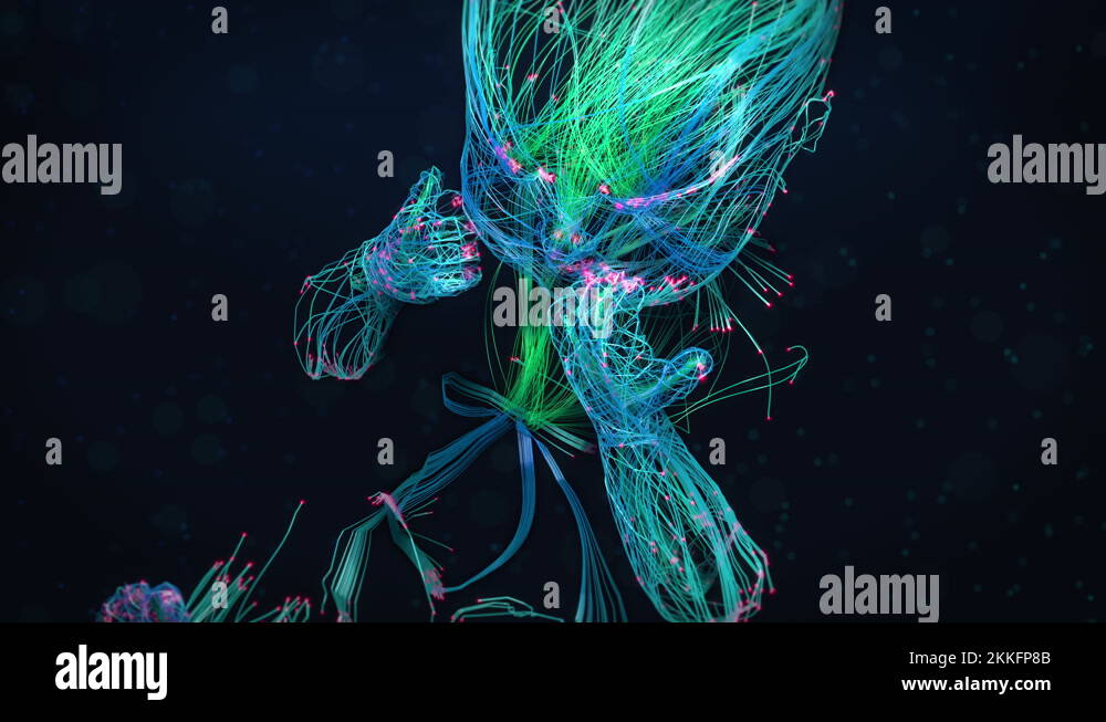 Conception Ai Digitalization in 3d Animation Colorful Human Baby ...