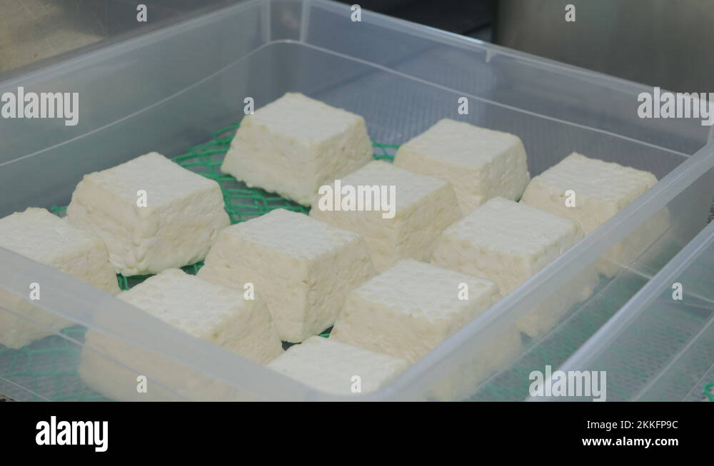 placing cheese for maturation in plastic containers on a special net ...