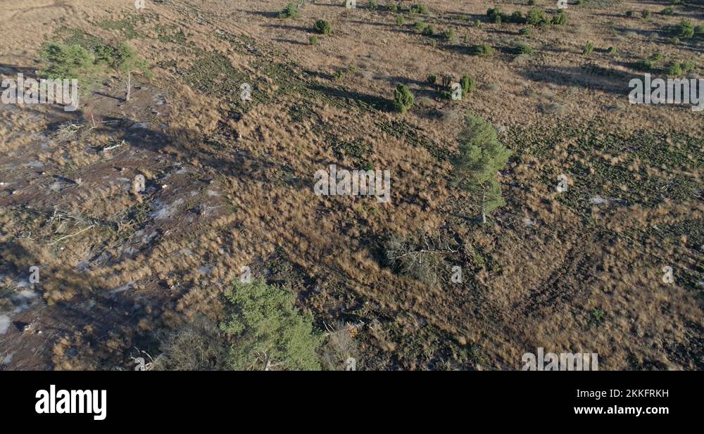 Heather field Stock Videos & Footage - HD and 4K Video Clips - Alamy
