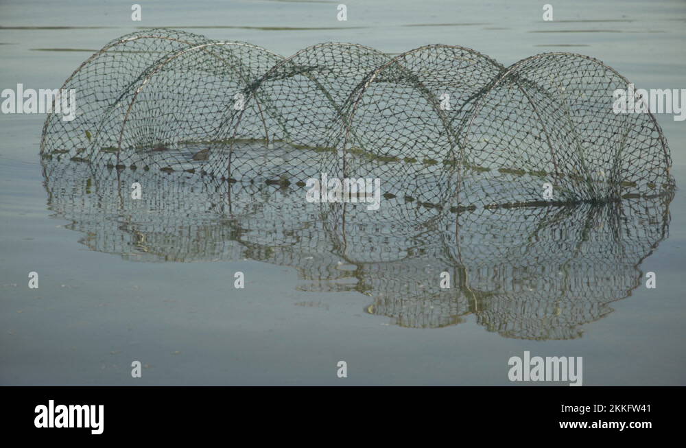 Fish trap in shallow water Stock Videos & Footage - HD and 4K Video ...