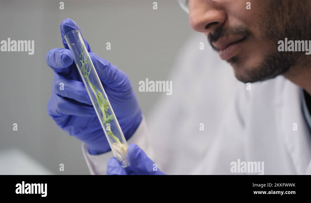 Gm tube Stock Videos & Footage - HD and 4K Video Clips - Alamy