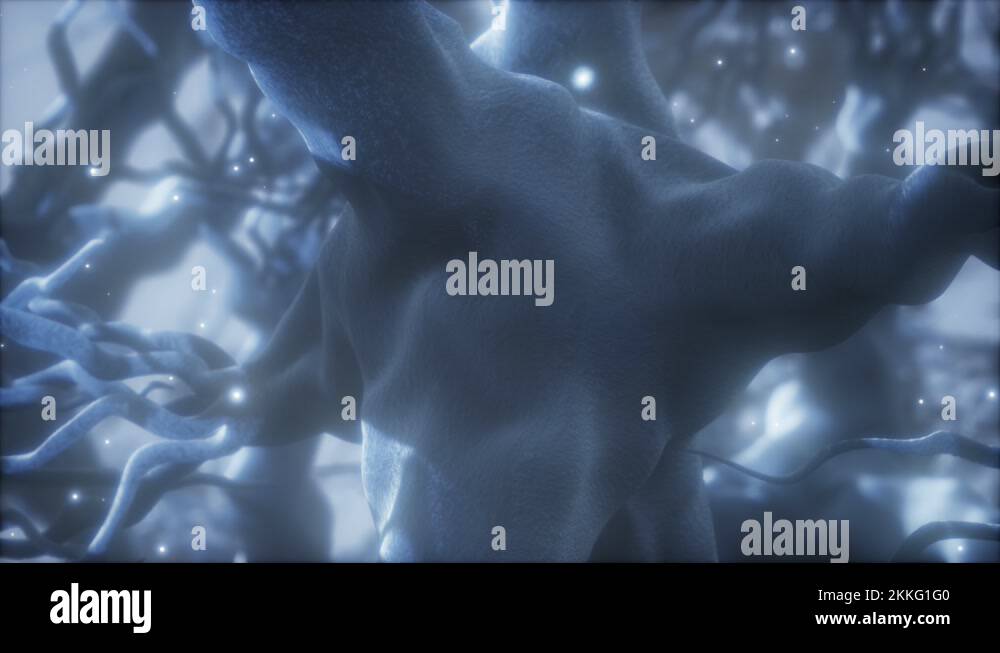 Journey through a neuron cell network inside the brain Stock Video ...