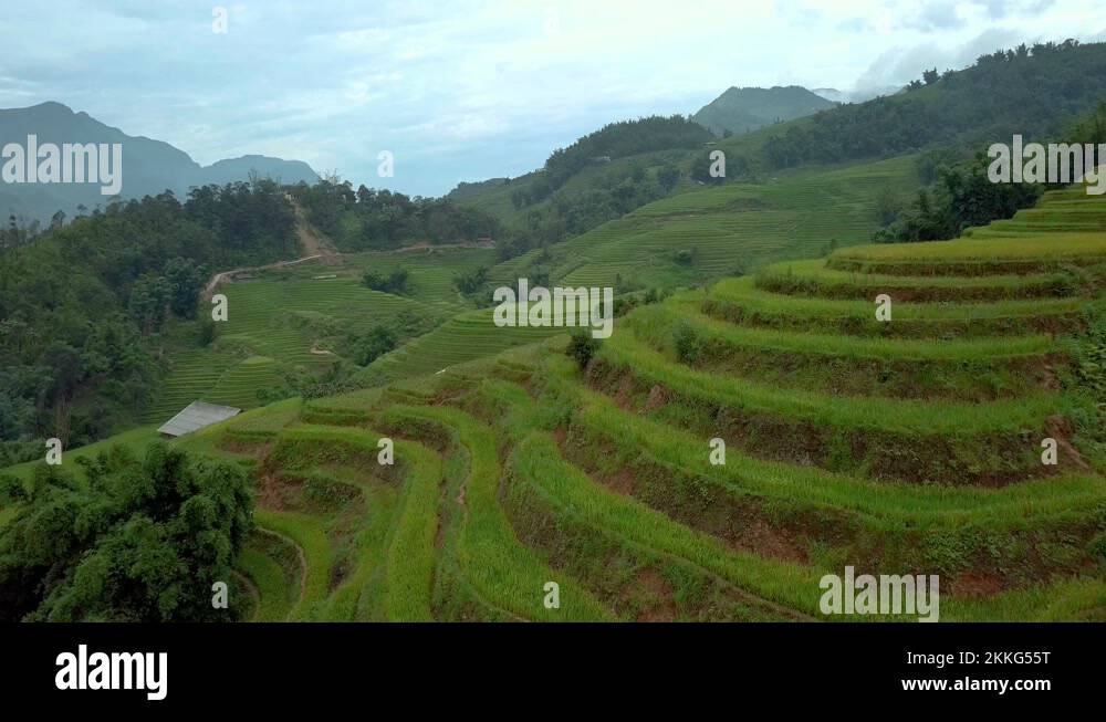 Vietnam plateau Stock Videos & Footage - HD and 4K Video Clips - Alamy