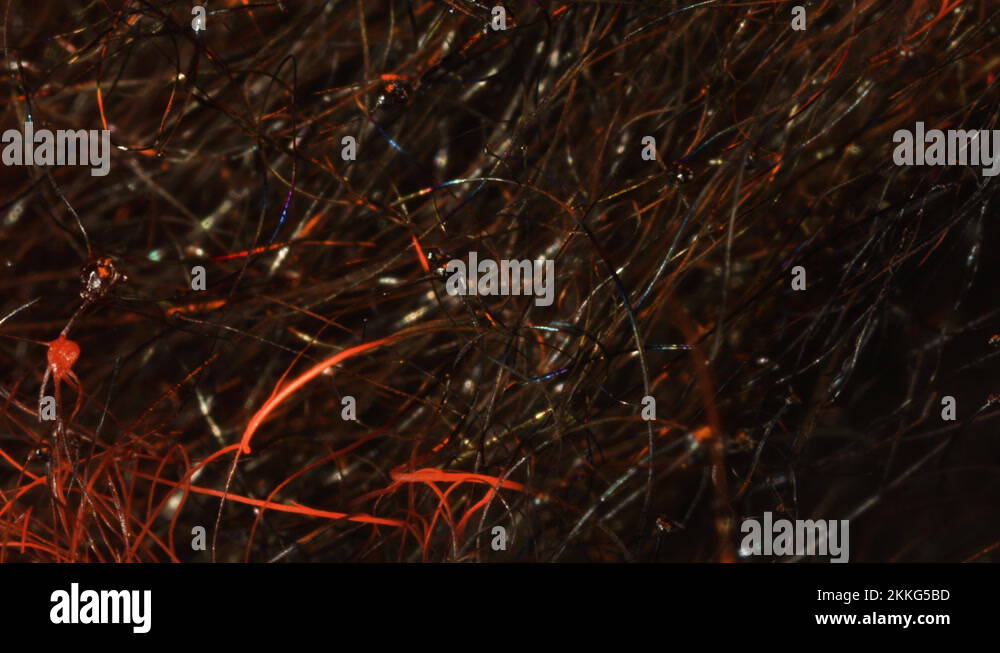 Steel wool fireworks Stock Videos & Footage - HD and 4K Video Clips - Alamy